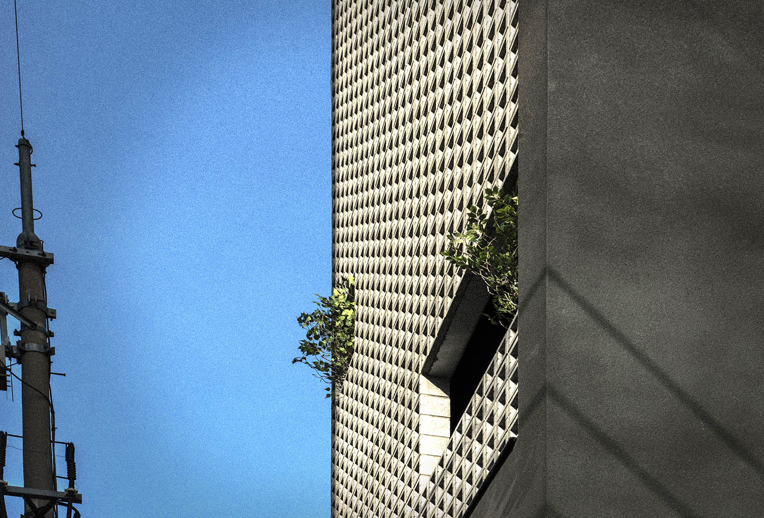 HB건축사무소_시스루빌딩 See-through Building - 브리크매거진 - BRIQUE MAGAZINE